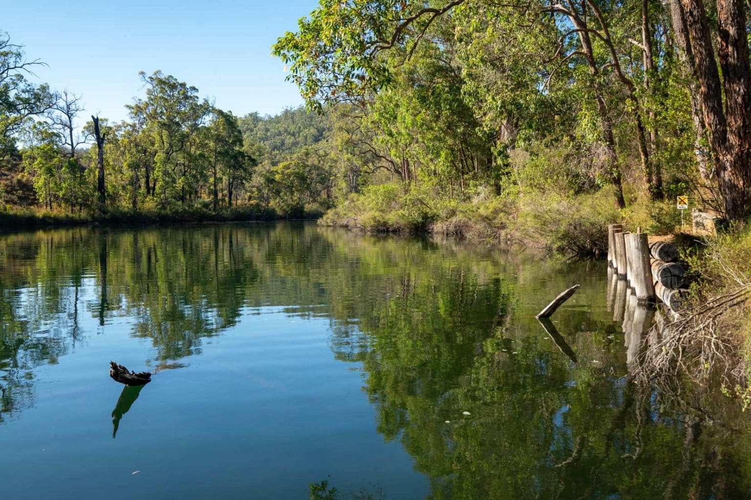 Long Pool & Lennard Drive's Hidden Gems, Collie