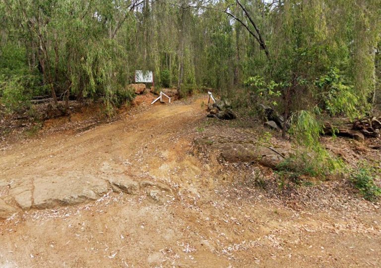 Long Pool & Lennard Drive's Hidden Gems, Collie