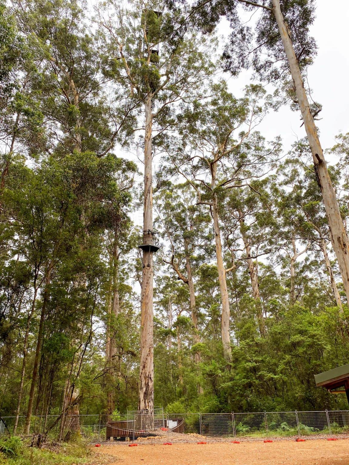 Complete Guide to Heartbreak Trail in Pemberton & Draftys Camping