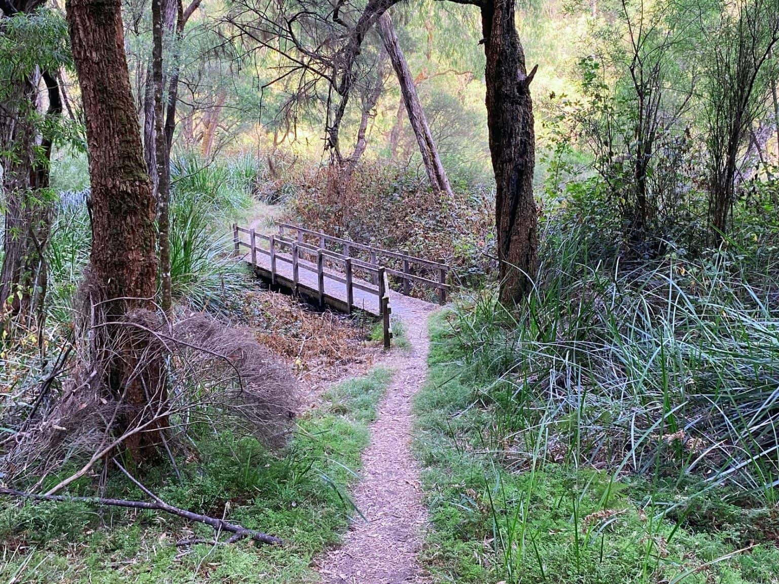 Complete Guide to Heartbreak Trail in Pemberton & Draftys Camping
