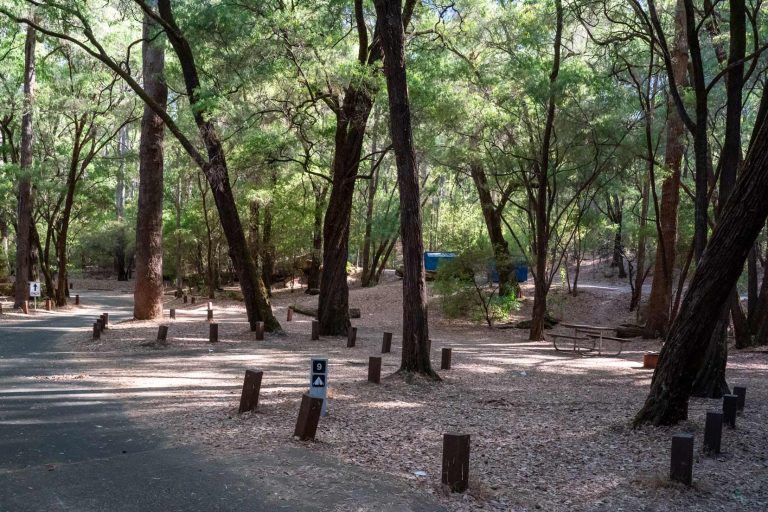 Honeymoon Pool Camping: Ultimate Guide & Review 2024