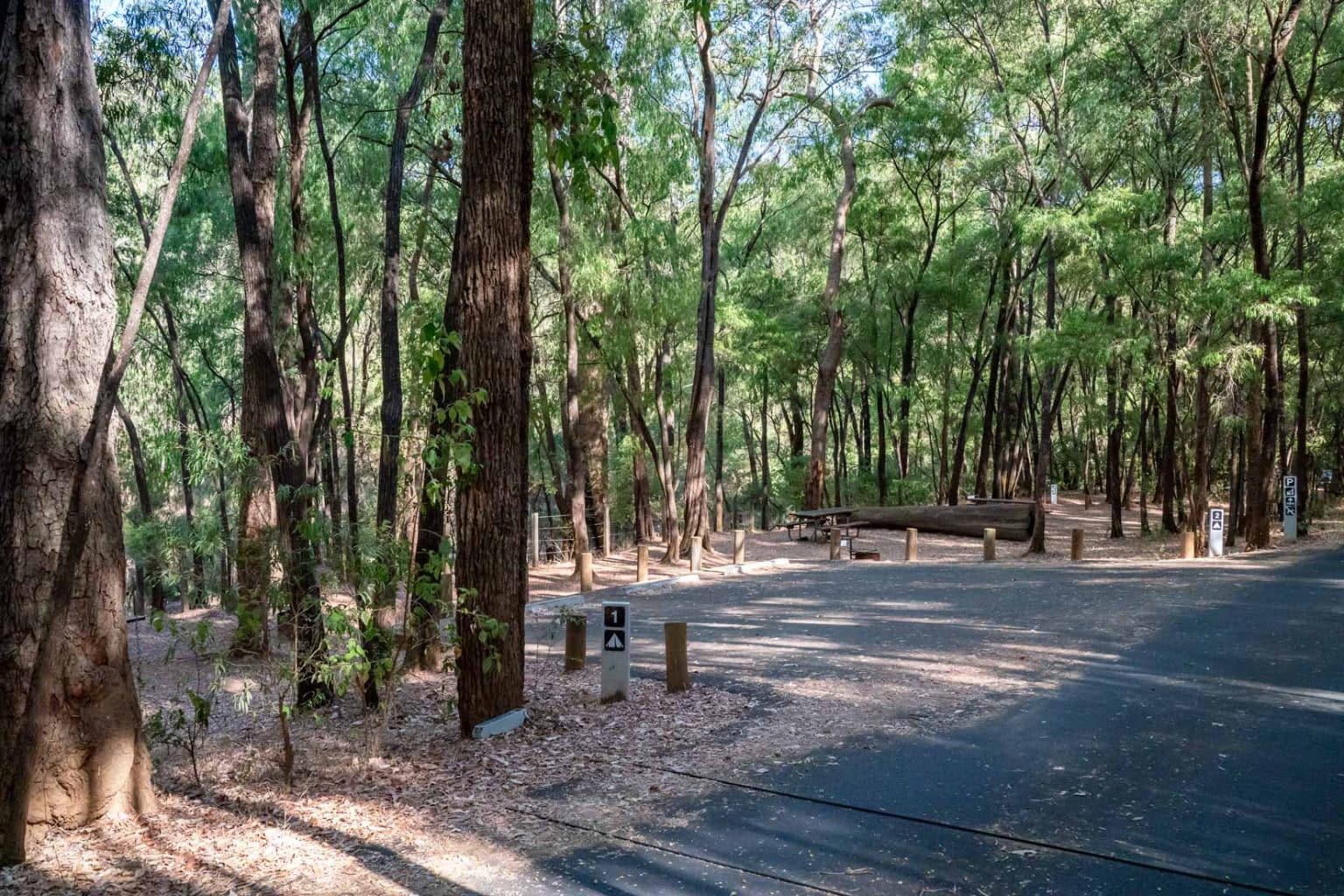 Honeymoon Pool Camping: Ultimate Guide & Review 2024