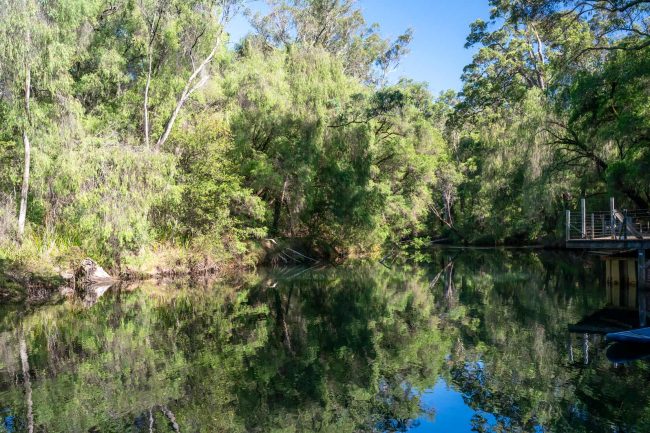 Honeymoon Pool Camping: Ultimate Guide & Review 2025