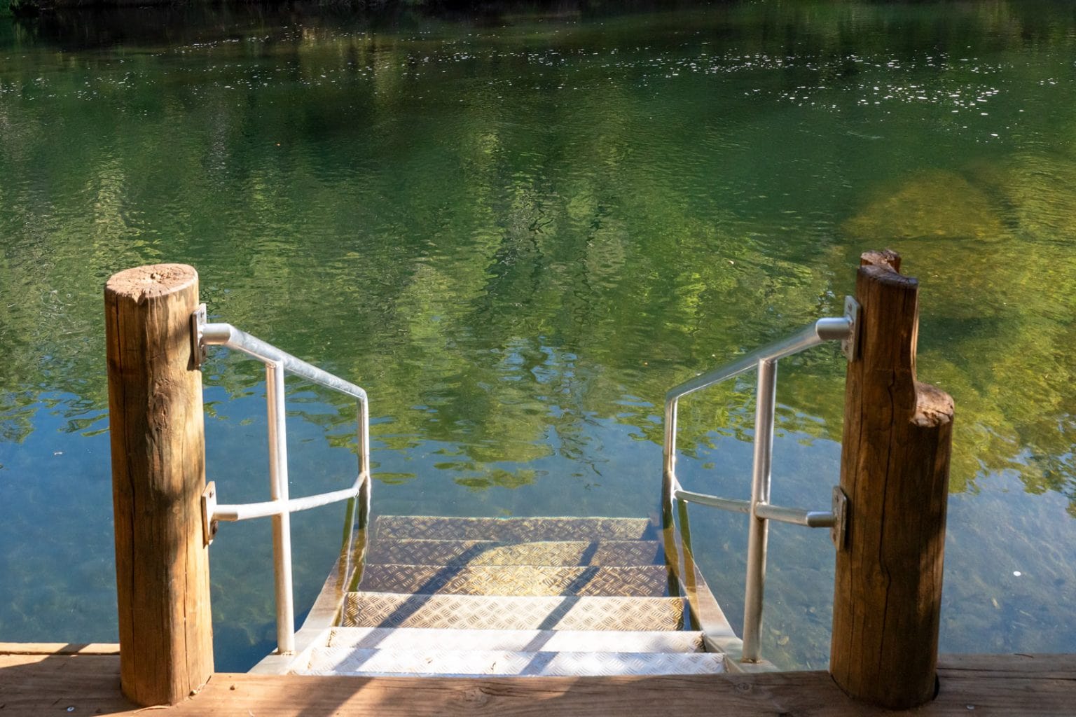 Long Pool & Lennard Drive's Hidden Gems, Collie