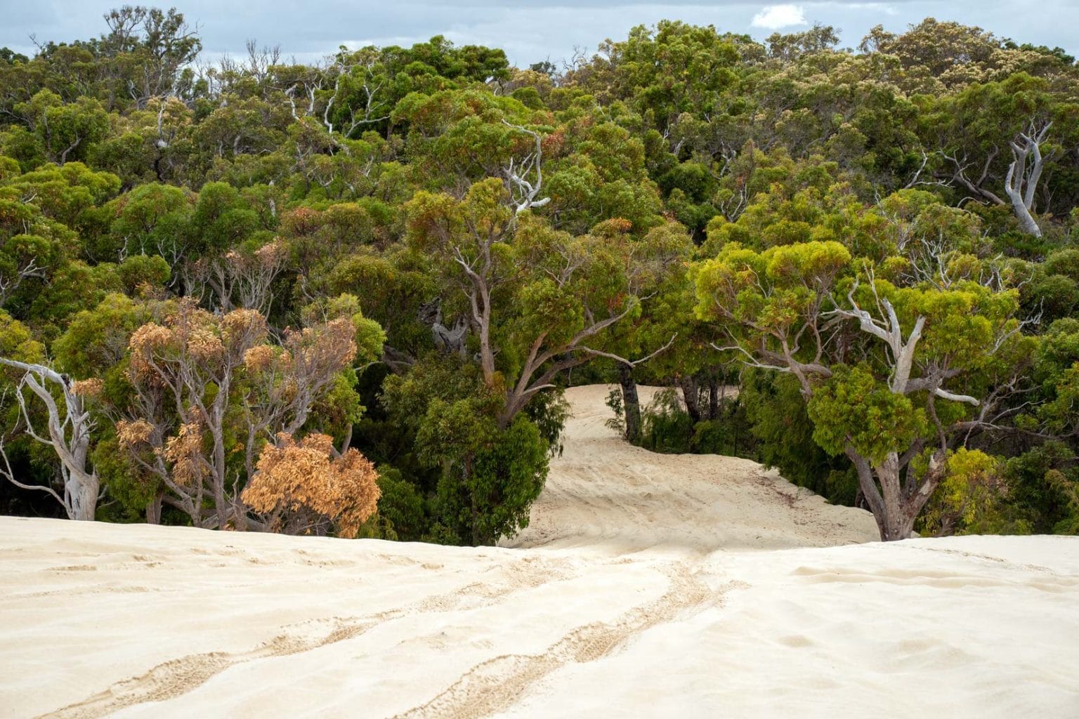 Perth to Esperance Road Trip: Ultimate Guide to WA’s Iconic Loop