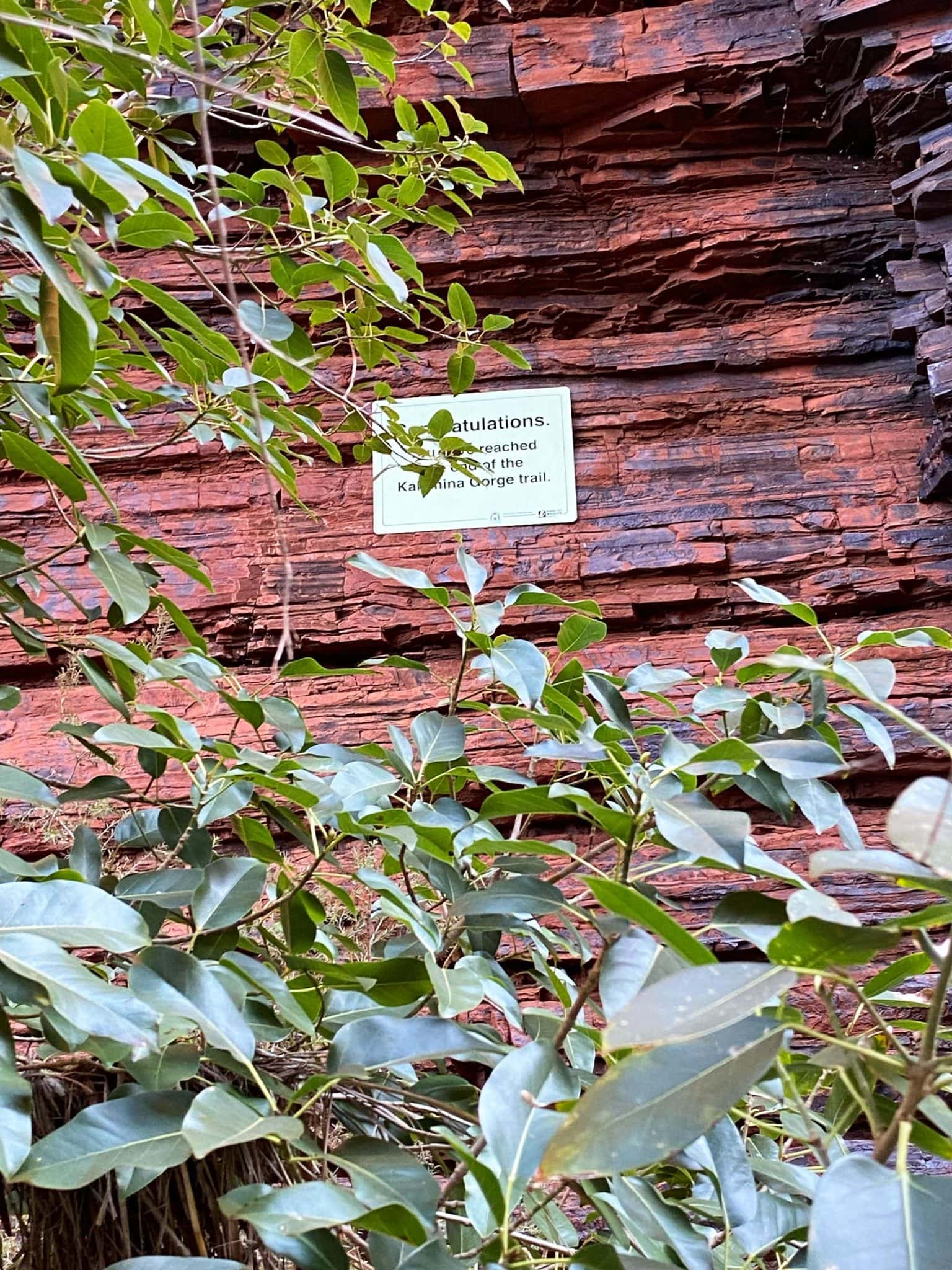 Kalamina Gorge: Our Favourite Hike in Karijini National Park