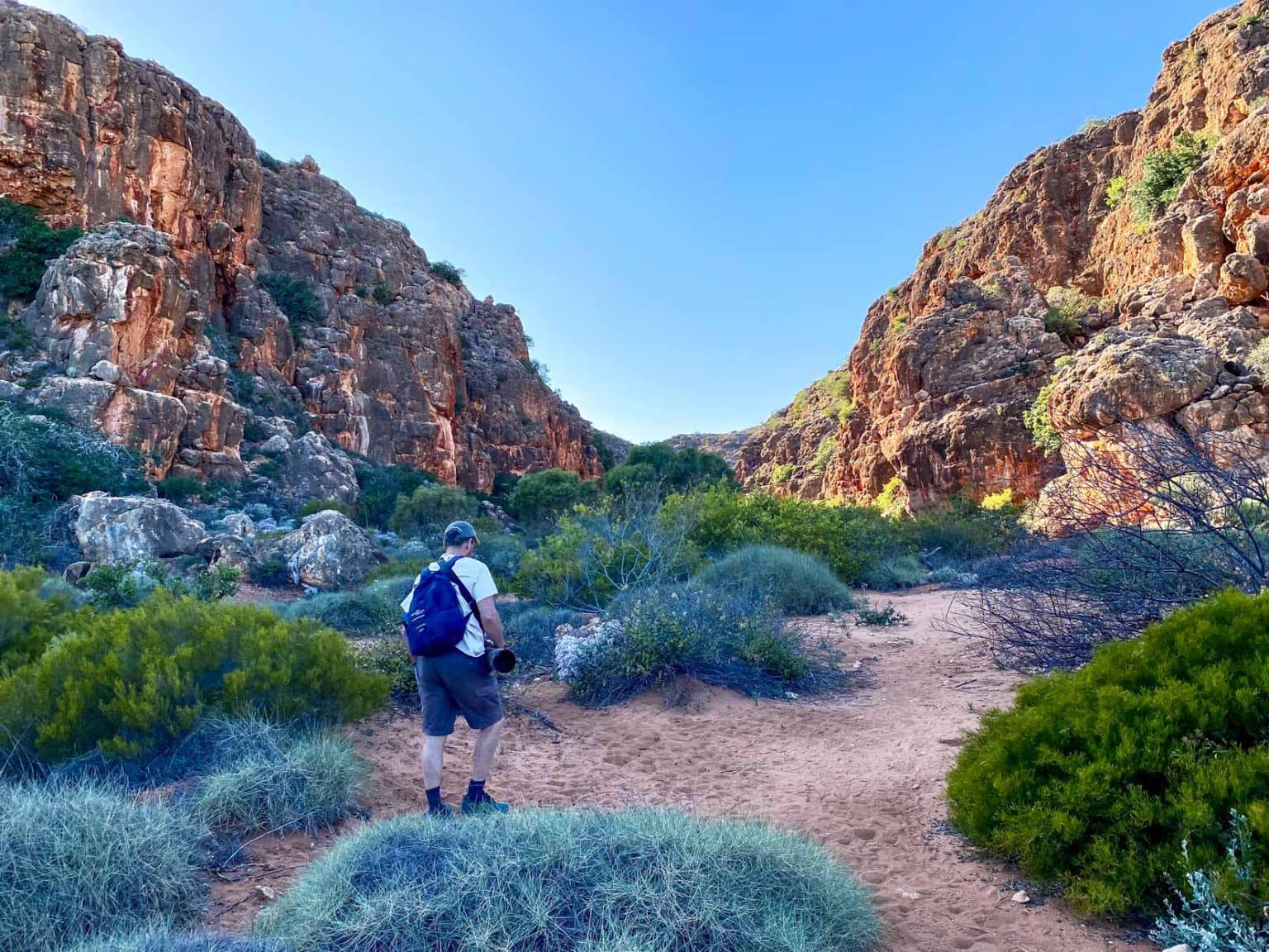 Pilgonoman Gorge Hike: Discover Exmouth’s Hidden Wildlife Haven