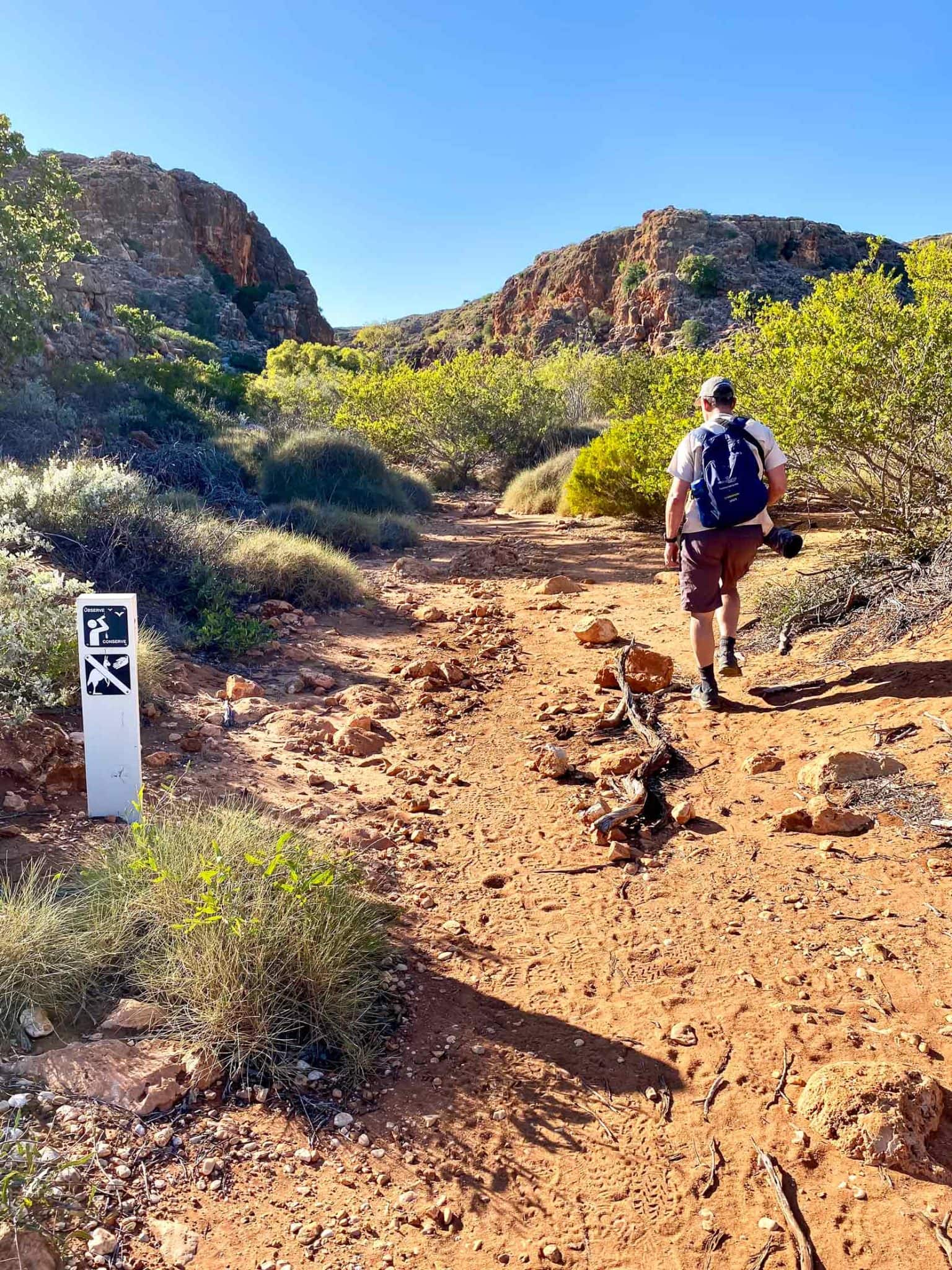 Pilgonoman Gorge Hike: Discover Exmouth’s Hidden Wildlife Haven