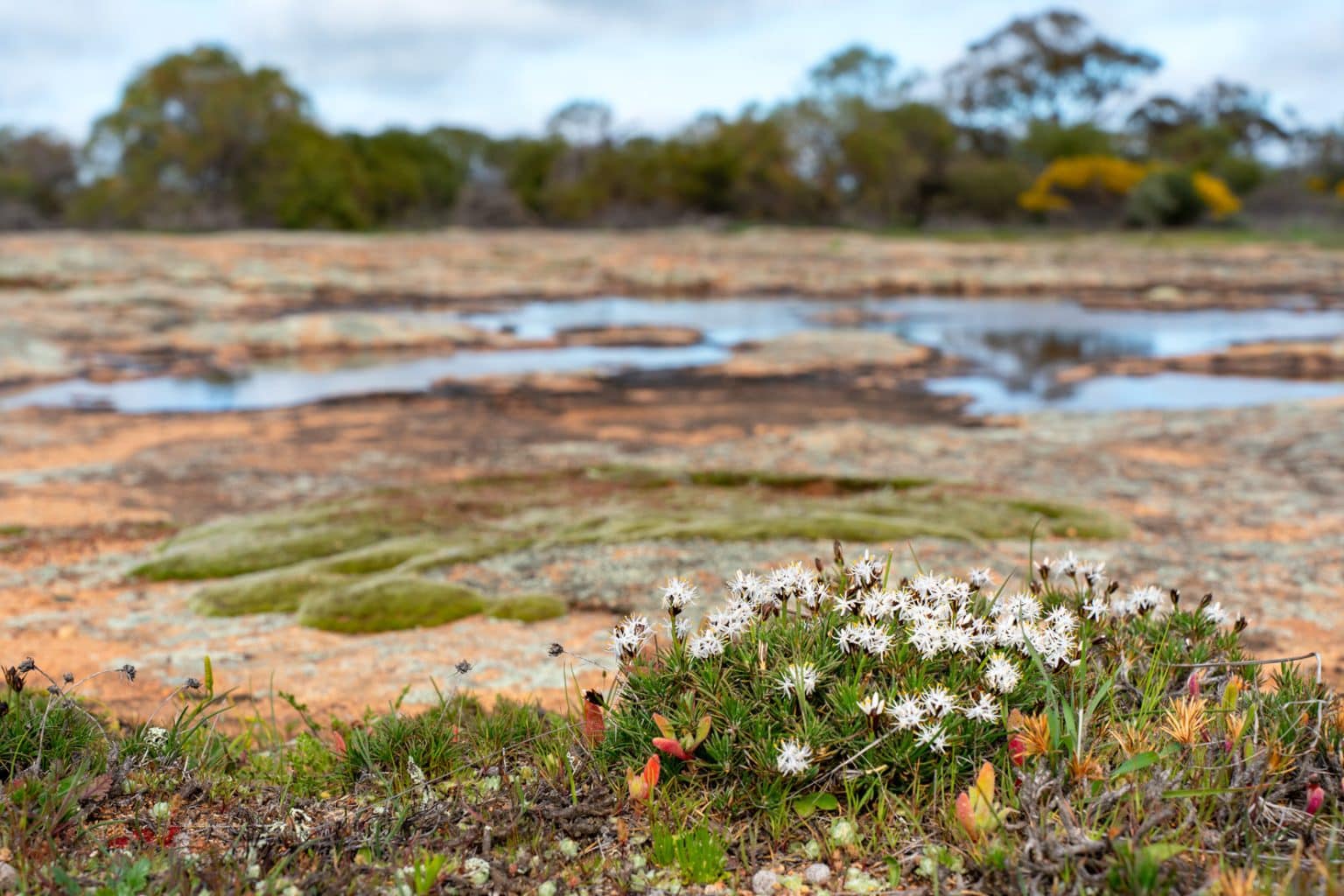 Perth to Karijini Road Trip: Through the heart of WA